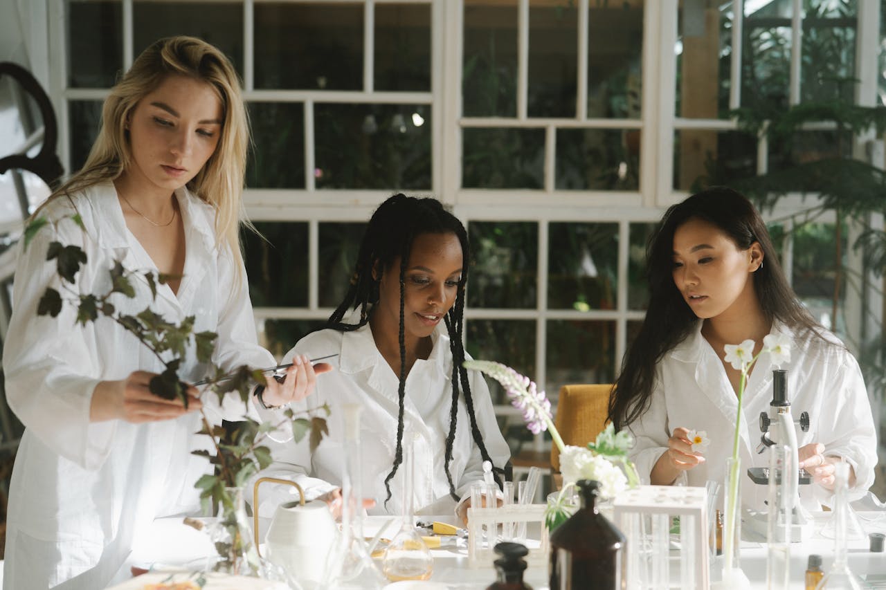 Study in Georgia - Edmonte